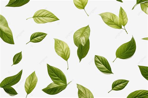 벚꽃 잎 원활한 패턴 벚꽃 잎 벚꽃잎무늬 원활한 패턴 Png 일러스트 및 이미지 에 대한 무료 다운로드 Pngtree