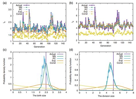 The Neural Network Was Trained To Predict Cell Growth