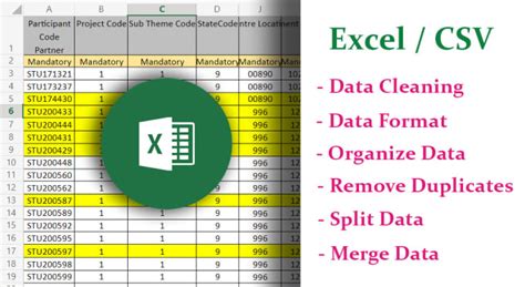Do Data Cleaning Organize And Format Excel Or Csv By Kishangupta198 Fiverr