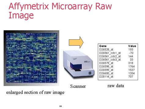 Applications To Bioinformatics Microarray Data Mining Overview Gene