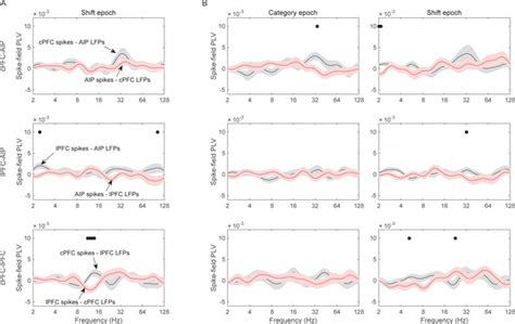 figures and data in synchronous beta rhythms of frontoparietal networks