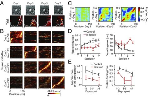 Hippocampus Dependent Emergence Of Spatial Sequence Coding In