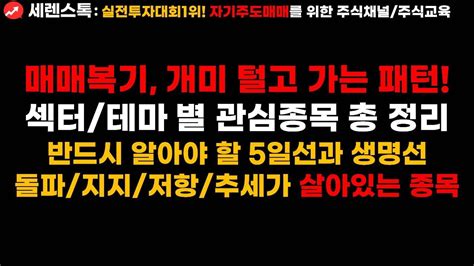 개미 털고 급등하는 패턴화승알앤에이휴스틸한국맥널티한국정보통신 매매복기대명에너지에스에너지동국산업snt에너지네이처셀앱클론새빗켐박셀바이오켐트로스실전투자