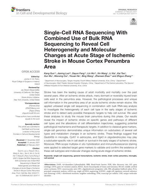 PDF Single Cell RNA Sequencing With Combined Use Of Bulk RNA Sequencing To Reveal Cell