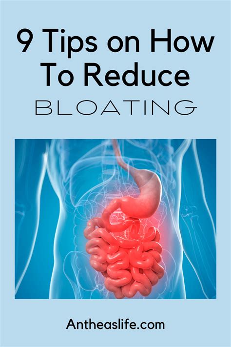 Tips On How To Reduce Bloating