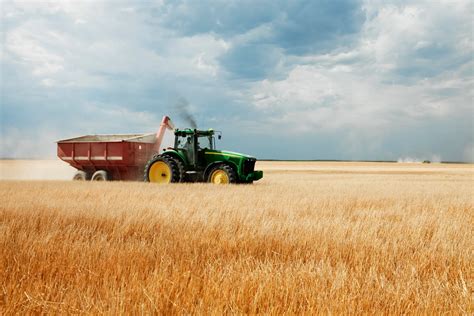 Ферма Колосс история фермы с 2004 года