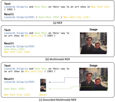 Verifiner Verification Augmented Ner Via Knowledge Grounded Reasoning With Large Language