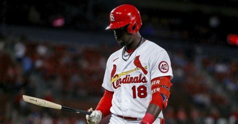 개막 12경기 연속 안타 친 루키 어느새 마이너 행