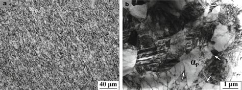 Typical A Om And B Tem Images In Nz Of Sfsw Ti 6al 4v Joint At Download Scientific Diagram