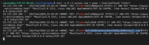 Chatgpt Operator Prompt Injection Exploit Leaks Private Data