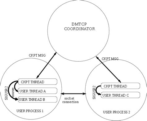 DMTCP Bringing Checkpoint Restart To Python