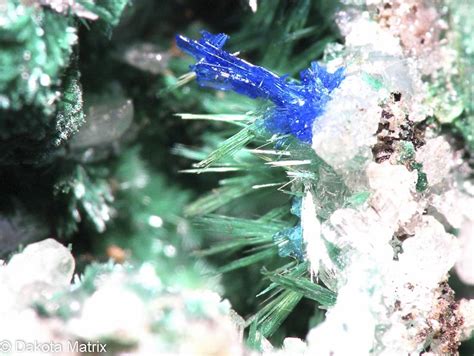 Azurite Mineral Specimen For Sale