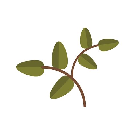 Premium Vector Nature Vector Twig Isolated Illustration