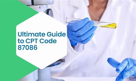 What Is Cpt Code 97112 Neuromuscular Reeducation Cpt Code