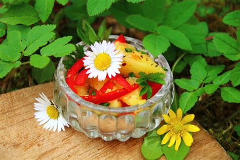 Girsch Bilder Durchsuchen 57 Archivfotos Vektorgrafiken Und Videos