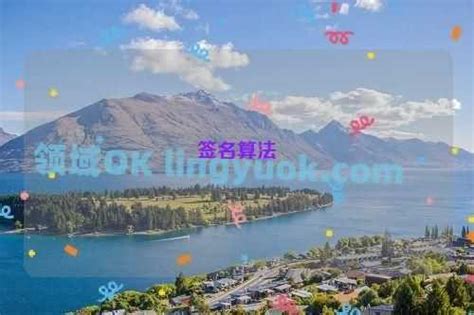 签名算法 领域ok