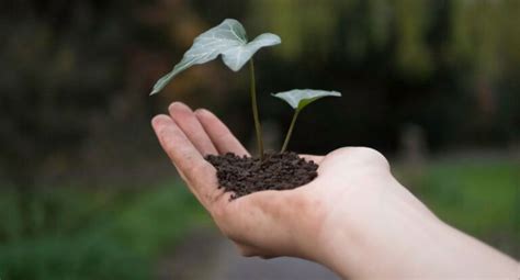 How To Pass Data Between Components In React Best 5 Techniques