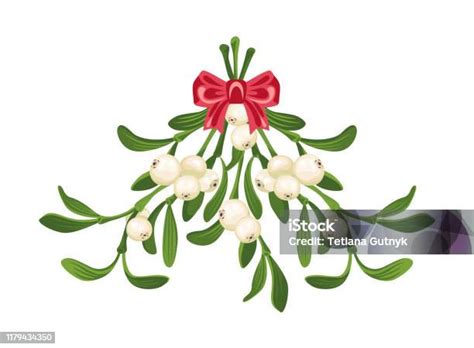 흰색 배경에 고립 된 겨우살이 녹색 잎 흰 열매와 붉은 활과 함께 매달려 겨우살이 잔가지 만화 평면 간단한 스타일의 벡터 일러스트레이션입니다 겨우살이과에 대한 스톡 벡터