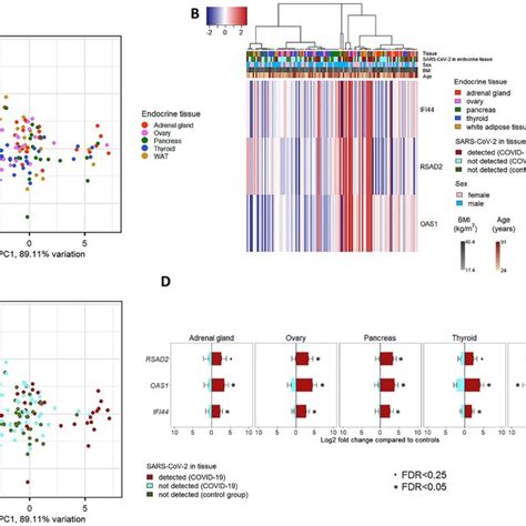 Organ Specific Expression Of Endocrine Genes Transcript Levels Of