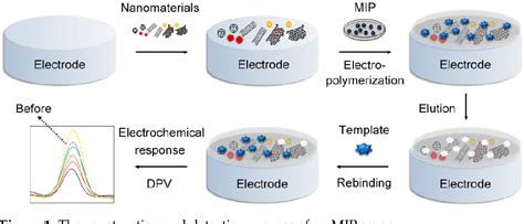 Figure 1 From Recent Advances Of Nanomaterials Based Molecularly