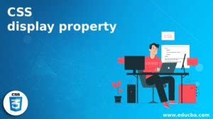 CSS display property | How display property work in CSS with Examples