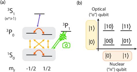 Figure 1 From An Architecture For Two Qubit Encoding In Neutral Ytterbium 171 Atoms Semantic