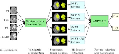 Figure 3 From Synergetic Neuro Fuzzy Feature Selection And