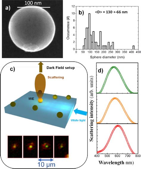 A High Resolution Sem Image Of A Spherical Titania Based Mie Download Scientific Diagram