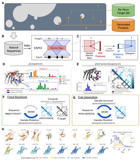 overview a illustration of protein sequence space natural sequences