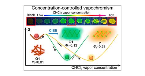 Multistimuli Responsive Squaraine Dyad Exhibiting Concentration Controlled Vapochromic