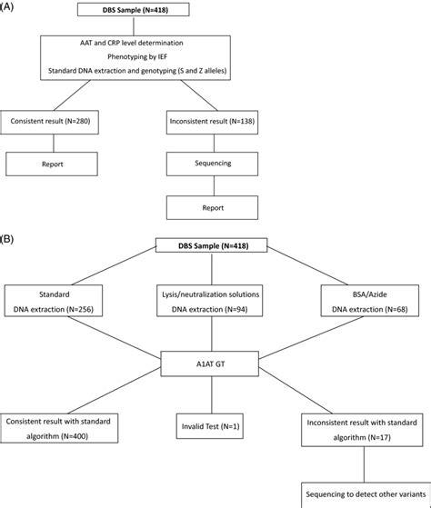 A Standard Testing Flowchart B A1at Gt Testing Flowchart Download