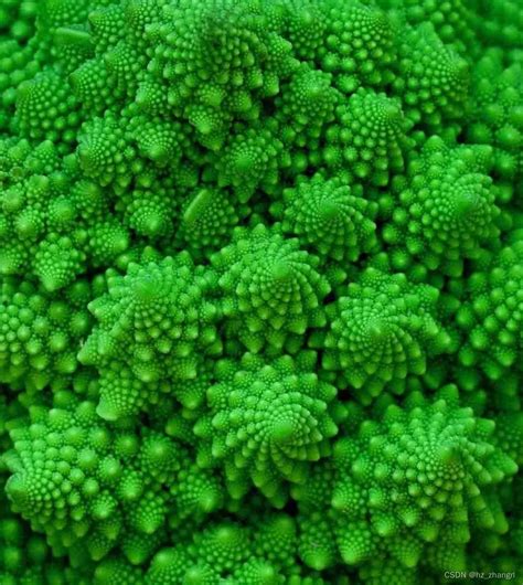 Python海龟绘图——分形、递归与递归算法上python 分形 Csdn博客 Python海龟绘图——分形、递归与递归算法上python 分形 Csdn博客