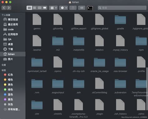 mac电脑macos常用软件必备软件命令行安装，史上最全mac插件 macos12 virt viewer csdn博客
