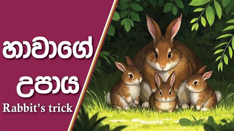 හාවාගේ උපාය Rabbits Trick Sinhala Cartoon Sinhala Story Sinhala Katandra Youtube