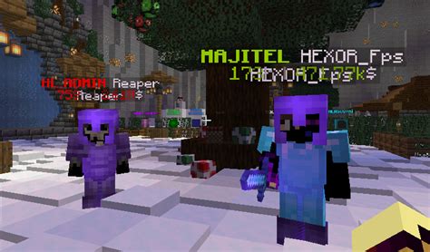 Nametag Bug Issue Neznamy Tab Github