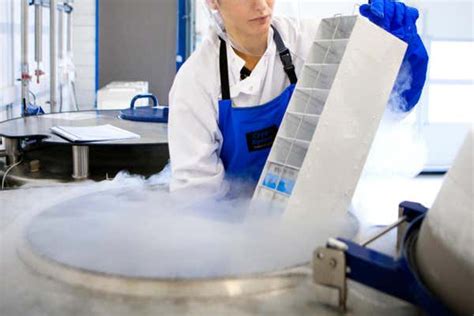 Mouse Brain Slices Brought Back To Life After Being Frozen For A Week New Scientist