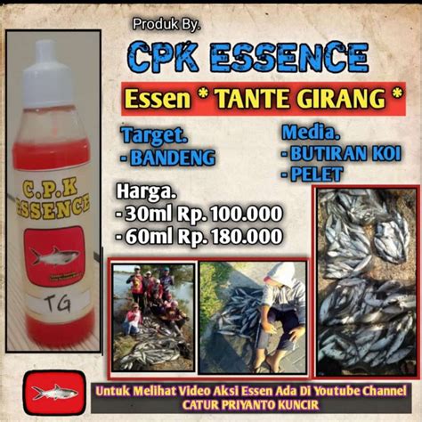 Jual Essen Cpk Tante Girang Khusus Target Ikan Bandeng Media Roti