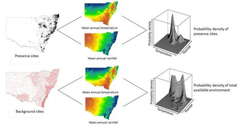 This Diagram Represents How Maxent Uses Presence And Background Points Download Scientific