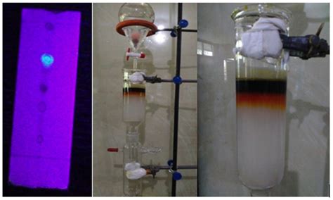 Profile Of Extract In Tlc Solvent In N Hexaneethyl Acetate 37 Vv