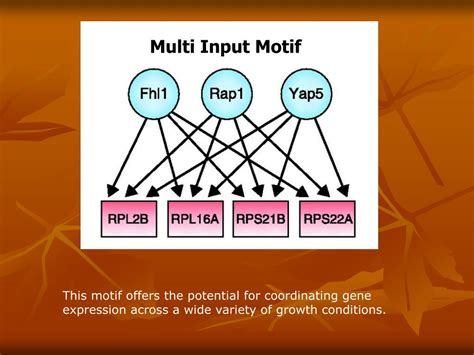 Ppt Location Analysis Of Transcription Factor Binding Sites