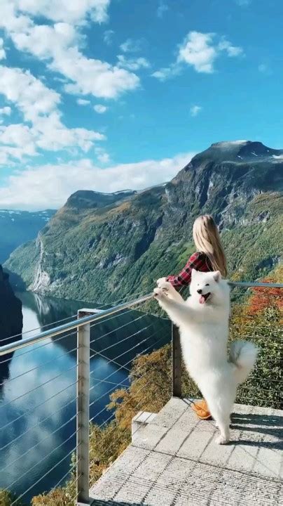 Maria Tikhomirova Posted On Linkedin