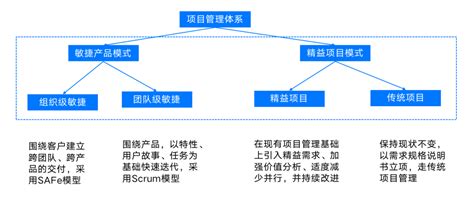 组织级项目管理困境和变革 知乎