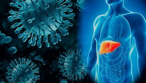 C형 간염 원인 증상 치료 및 예방법 총정리