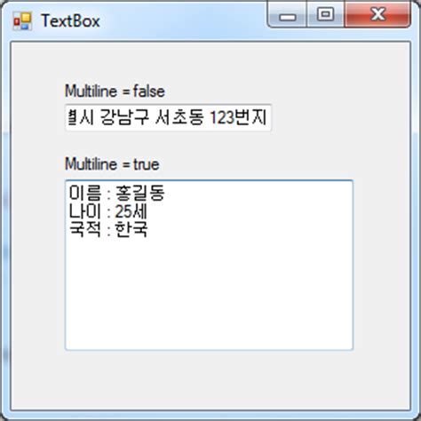 TextBox 컨트롤 C 프로그래밍 배우기 Learn C Programming