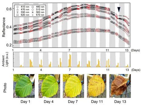 Leaf Sensor Monitors Plant Health