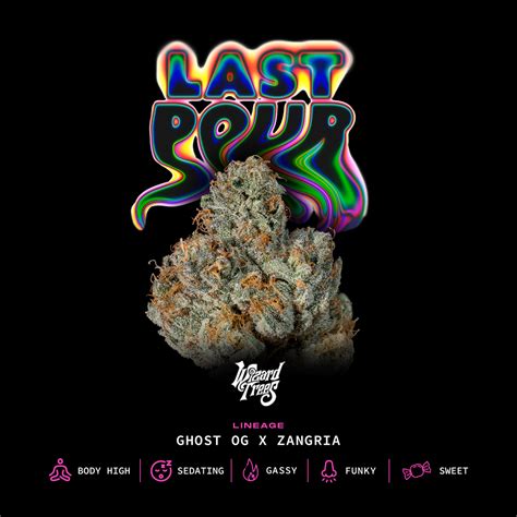 Wizard Trees Genetics