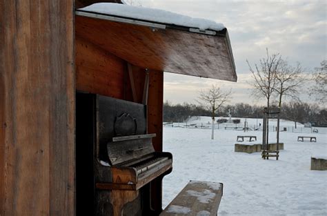 낮은 주목 울타리에서 모든 것이 안개로 인한 얼음의 흰 서리에 의해 얼고 얼어 붙습니다 빗자루 기계로 눈을 쓸어 버린 결과 보도 앞 측면 나무 줄기에서 뿌려진 눈 0명에