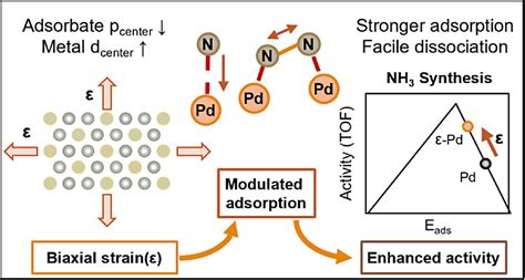 Density Functional Theory Investigation Into Modulating Surfaceadsorbate Interactions With