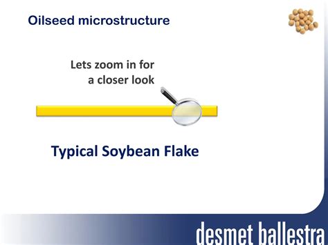 extraction of oil from seeds using solvent extraction technique pdf