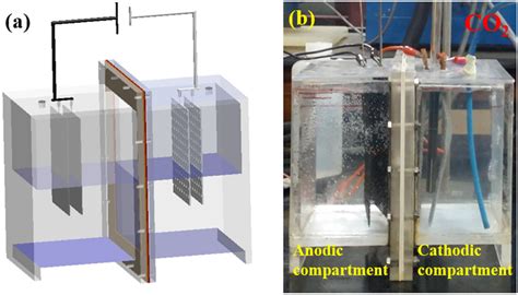 A Schematic Representation And B Photograph Of Electrochemical Reactor